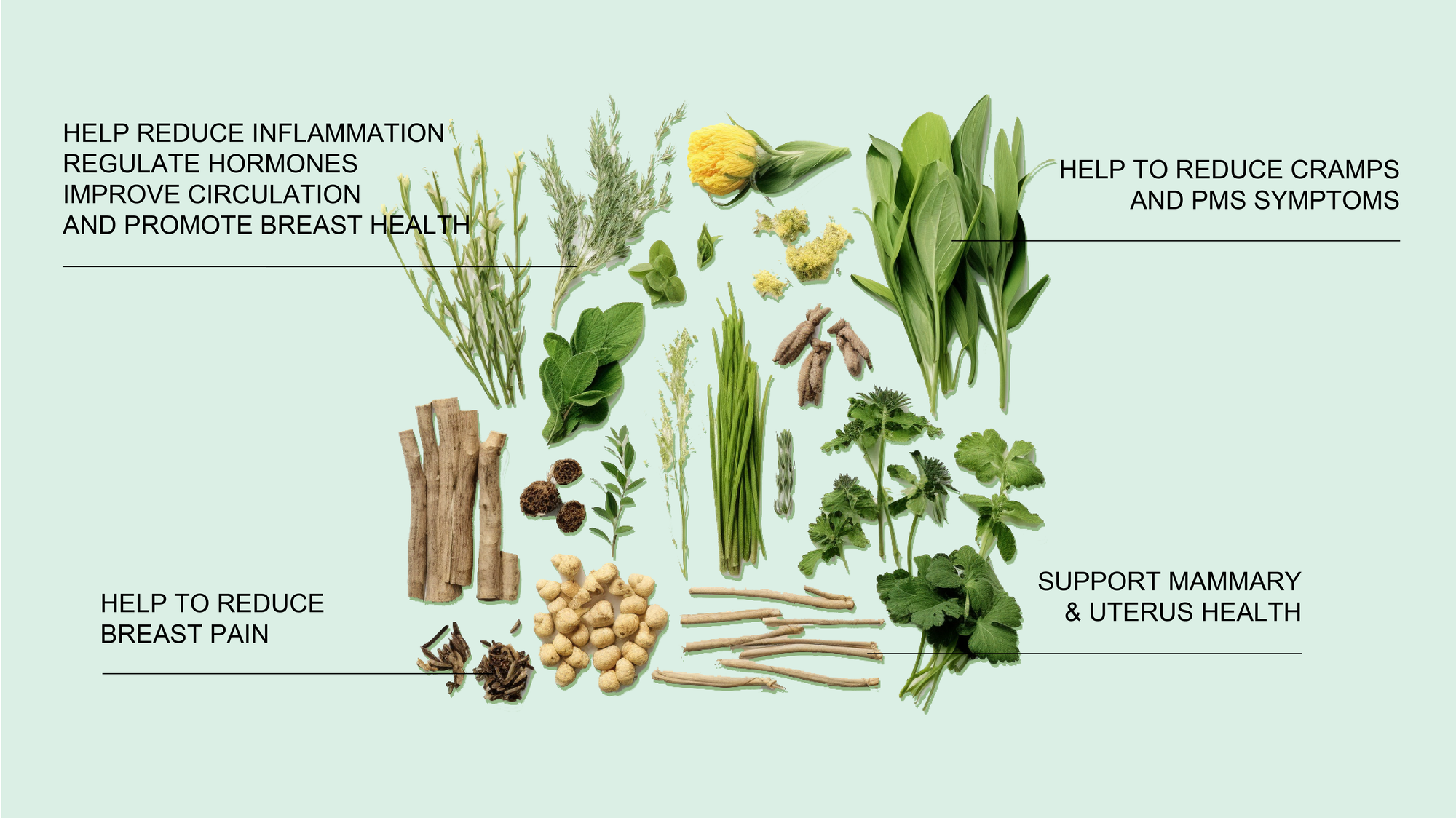 Mammary & Uterus Care Herb Tea | Female Wellness Support